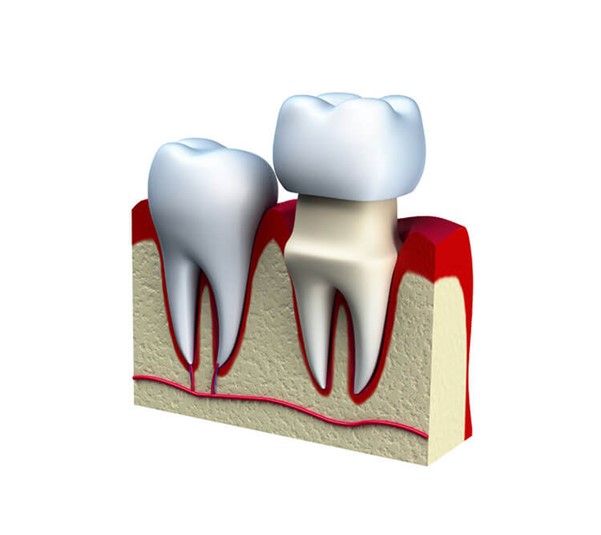Our Referral Network - Woodville Seaton Dentist